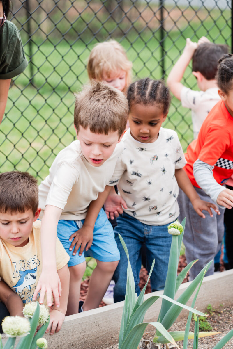 Growing, Learning, and Blooming: Spring at Church Child Care Center ...