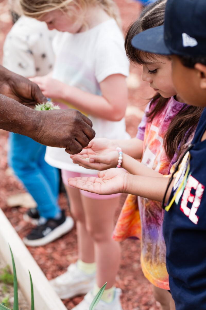 Growing, Learning, and Blooming: Spring at Church Child Care Center ...